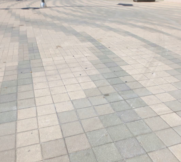 Artist Spotlight - Exhibition Place