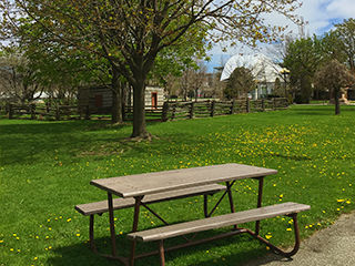 Come Hang Out With Us: What’s Open at Exhibition Place - Exhibition Place